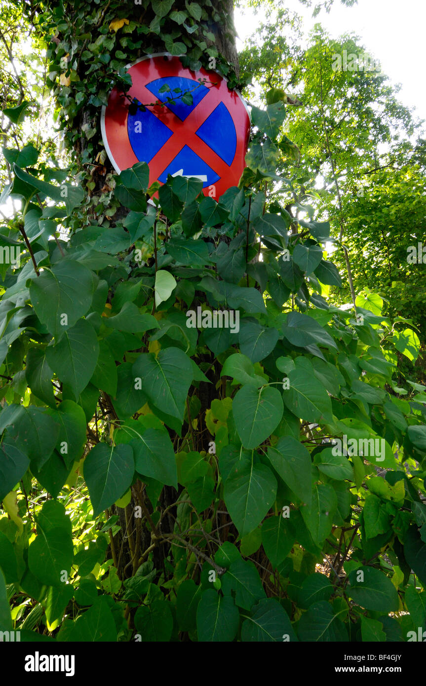 No stopping sign hi-res stock photography and images - Alamy