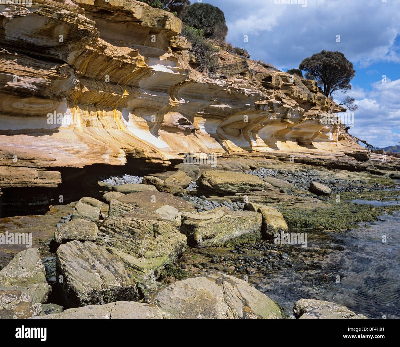 Colorful sandstone cliffs, Painted Cliffs, in the Maria Island National ...