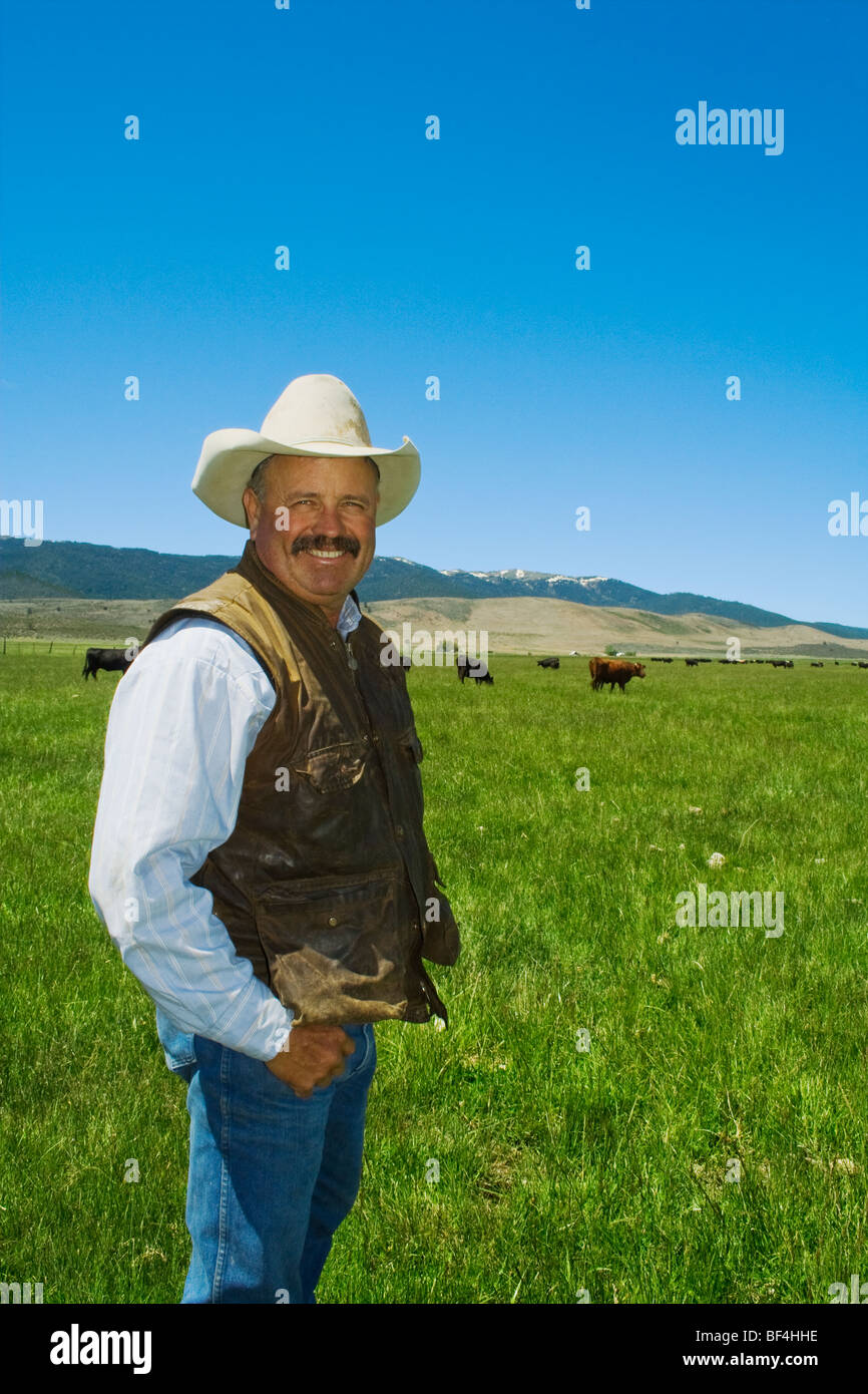 A rancher stands in his green pasture with a herd of Black Angus beef ...