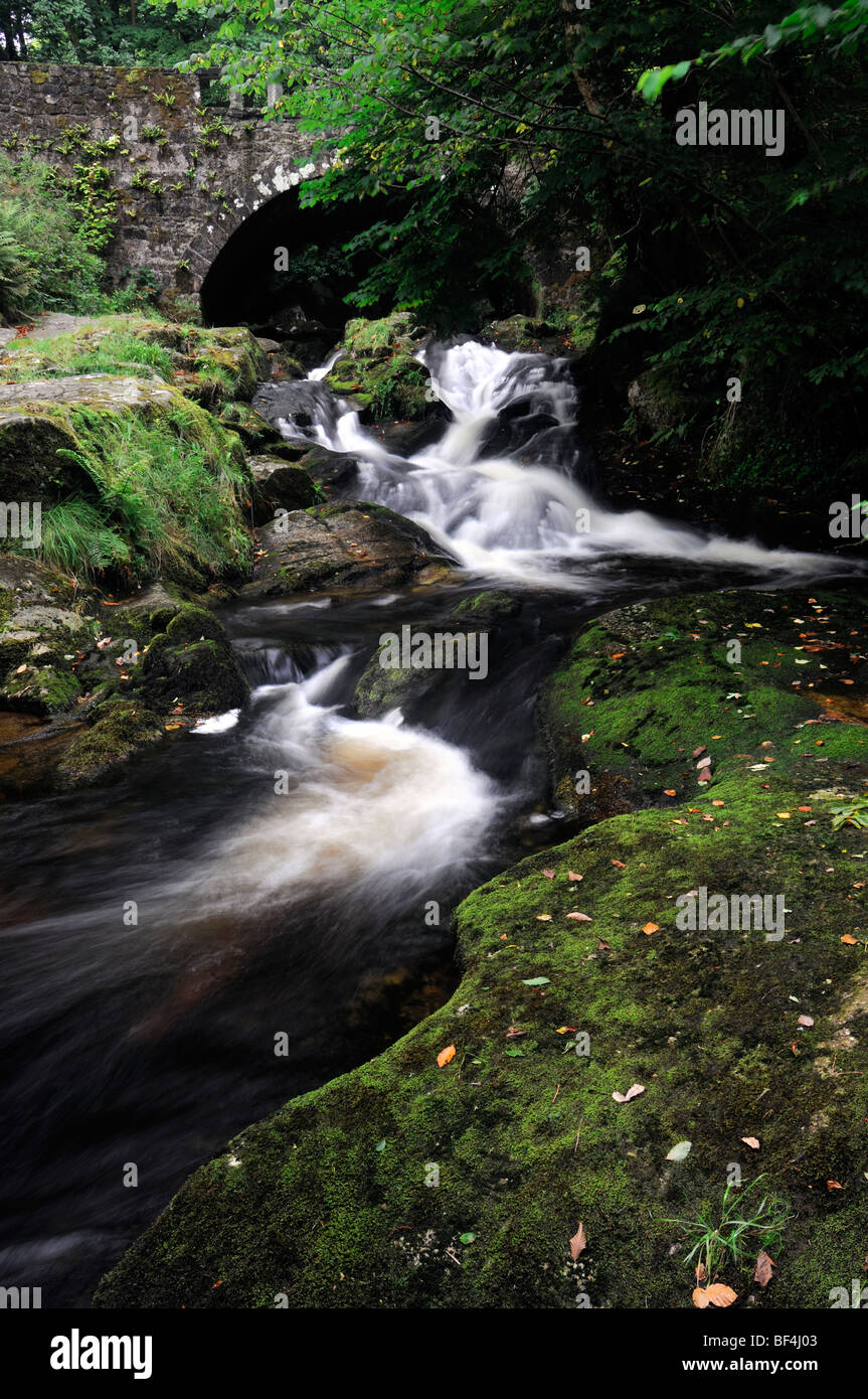 Cloghleagh River waterfall stream Wicklow Ireland stone arch arched ...