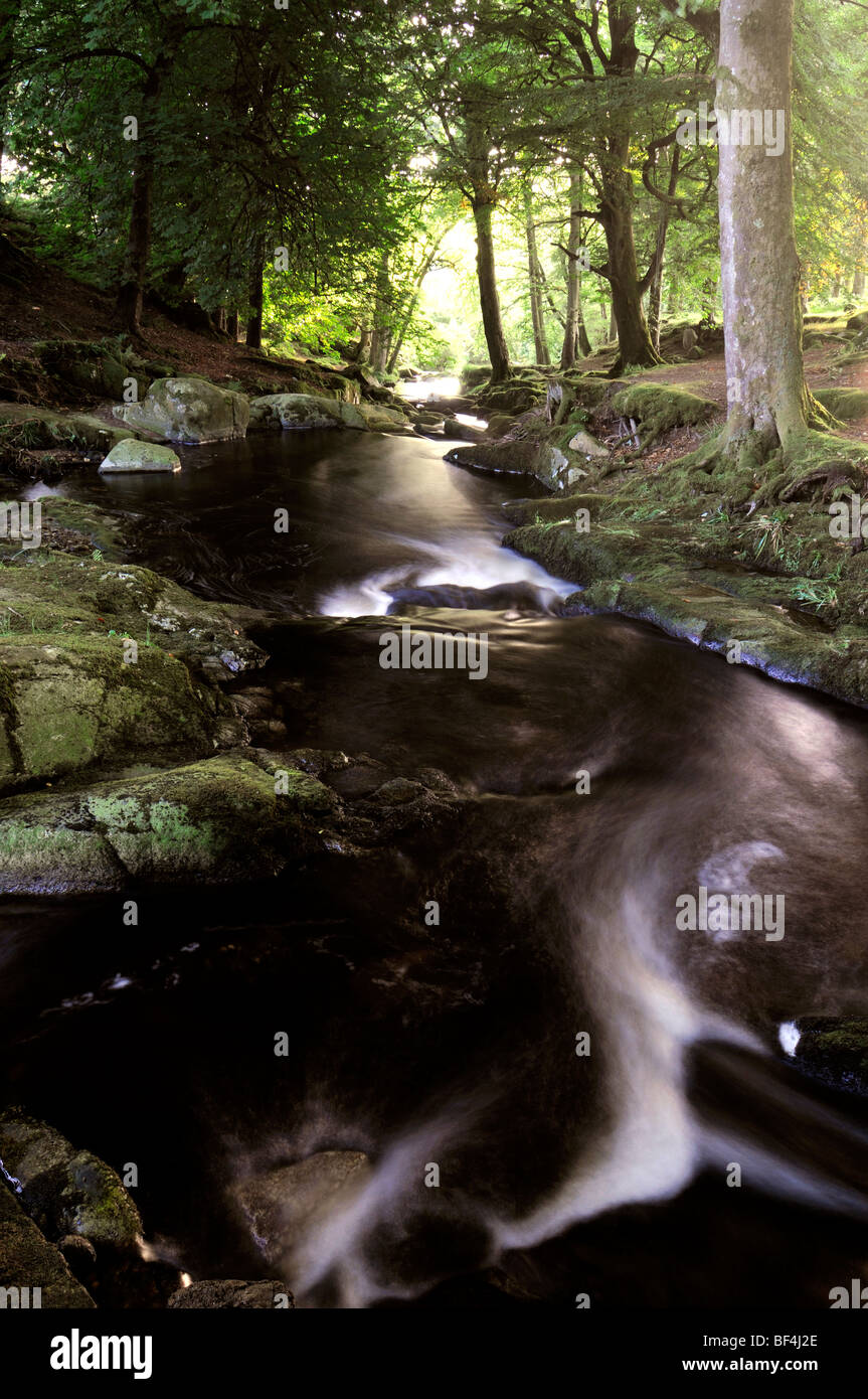 Cloghleagh River waterfall stream Wicklow Ireland Stock Photo - Alamy