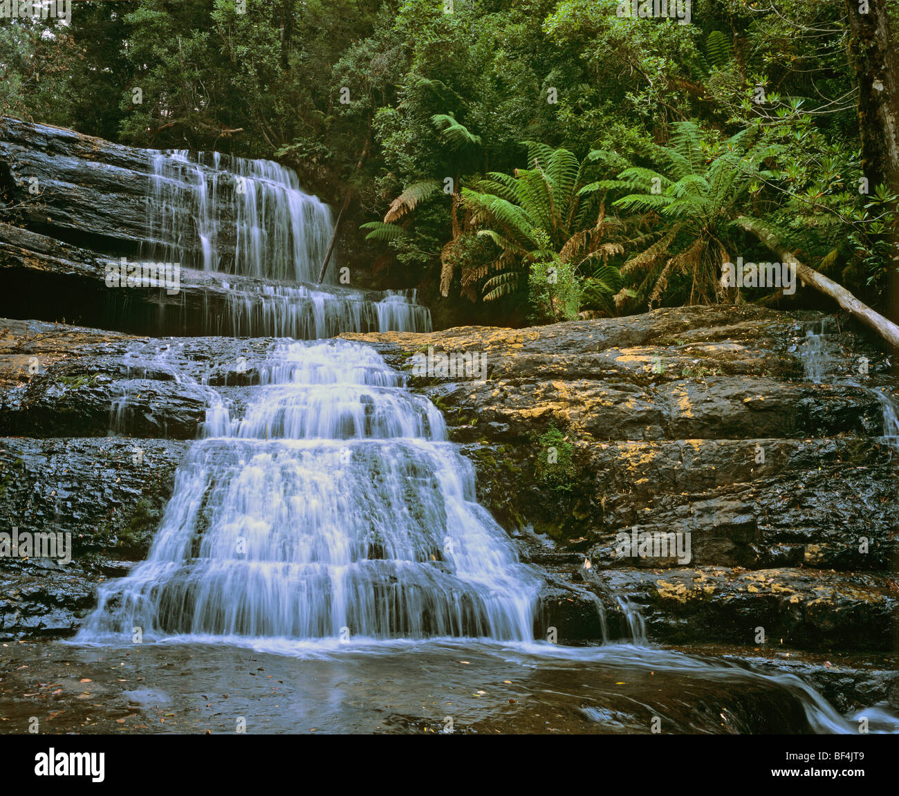 Lady Barron Falls in the Mt Field National Park, Tasmania, Australia ...