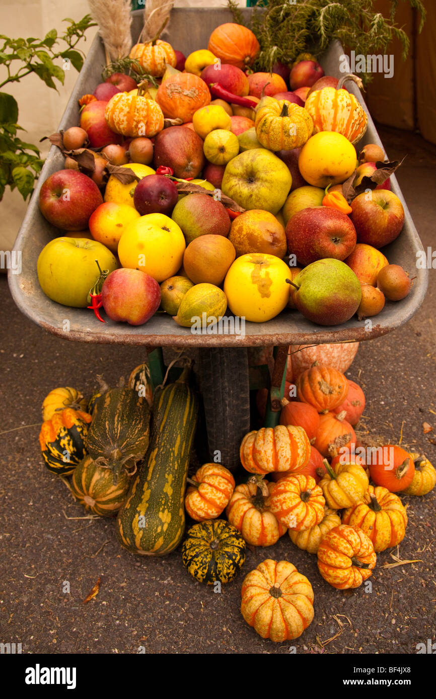 Barrow of Harvest Fruits Stock Photo - Alamy