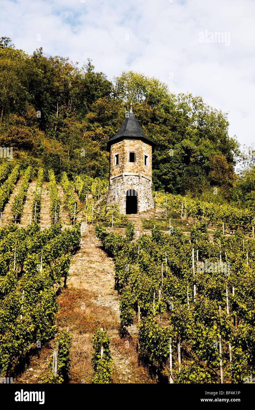 Vineyard watchtower hi-res stock photography and images - Alamy