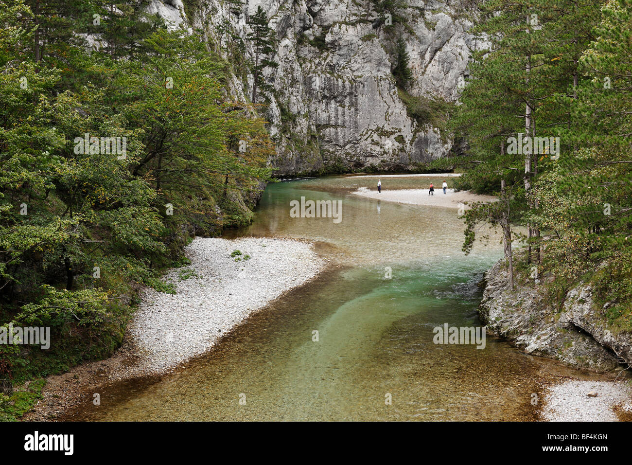 Schwarza River in Hoellental, Hell's Valley in Reichenau an der Rax ...