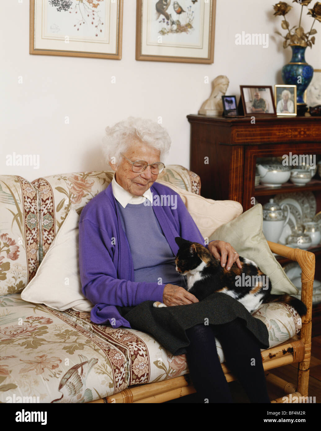 Old lady cat hi-res stock photography and images - Alamy