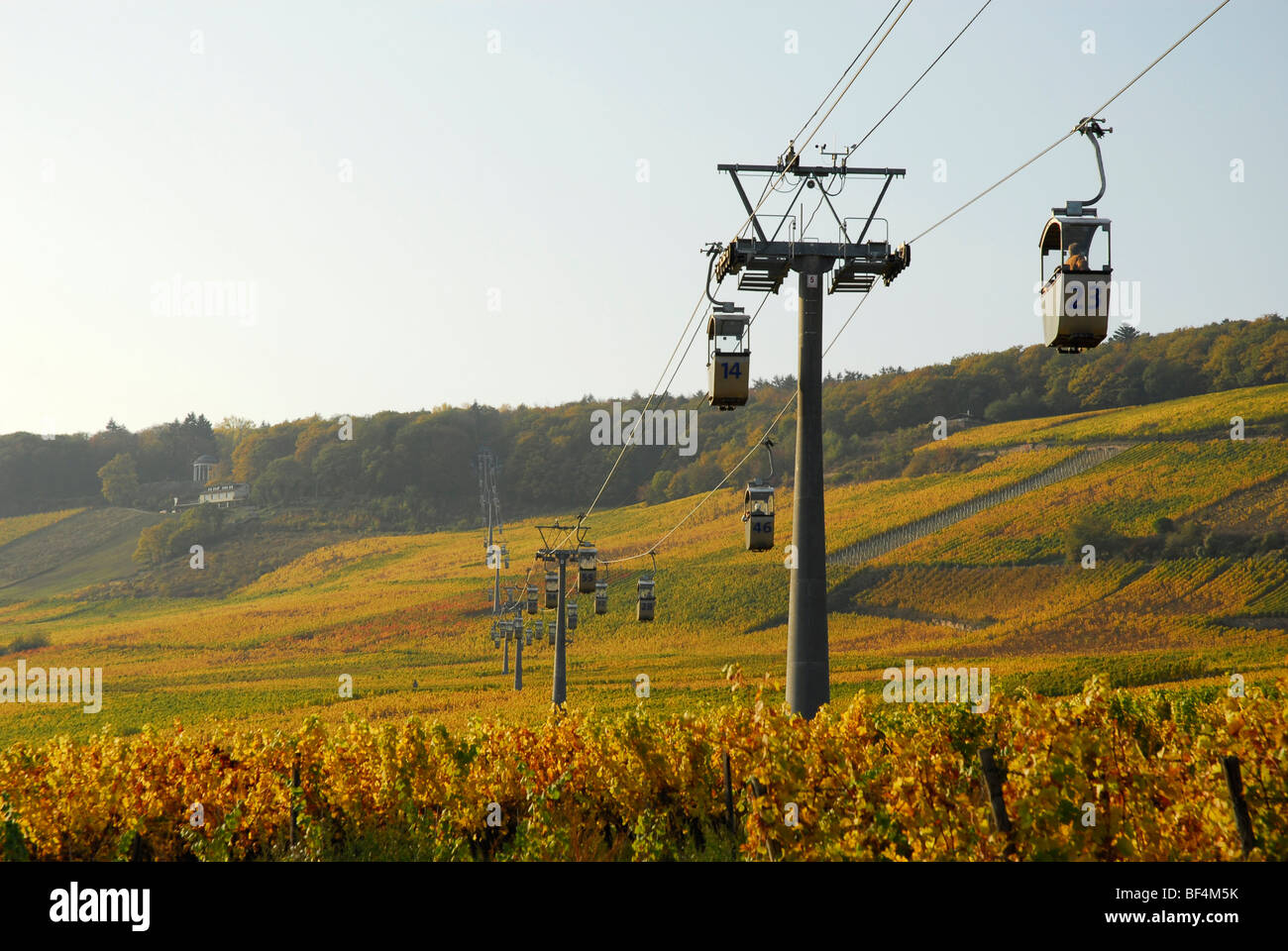 Cable car to the Niederwald Monument, vineyard, Ruedesheim am Rhein ...