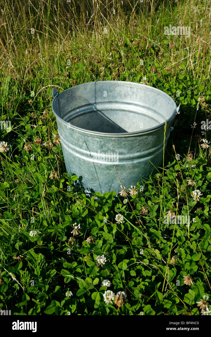 Galvanised bucket in grass field of clover Stock Photo - Alamy