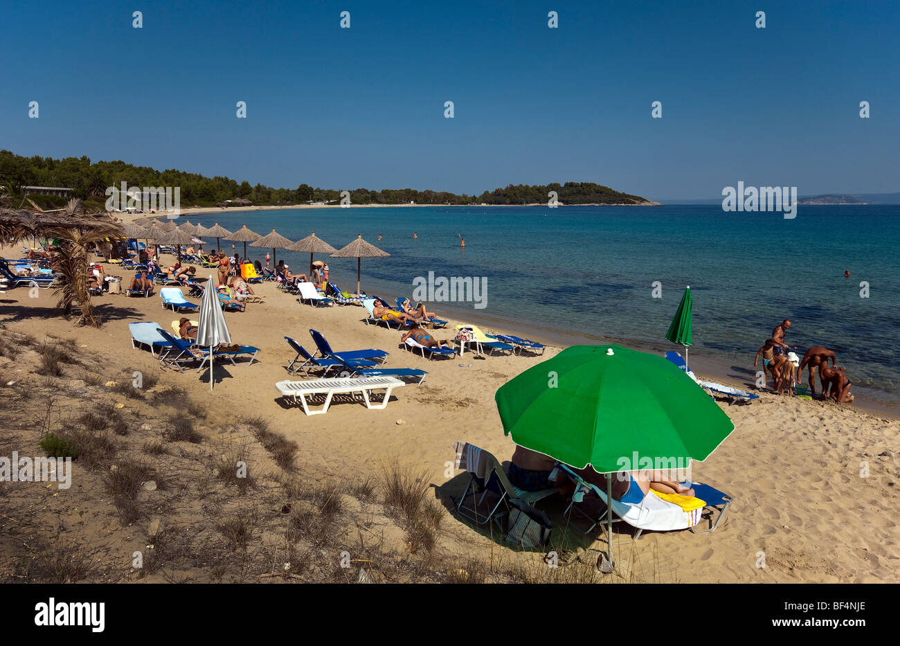 Paliouri High Resolution Stock Photography and Images - Alamy