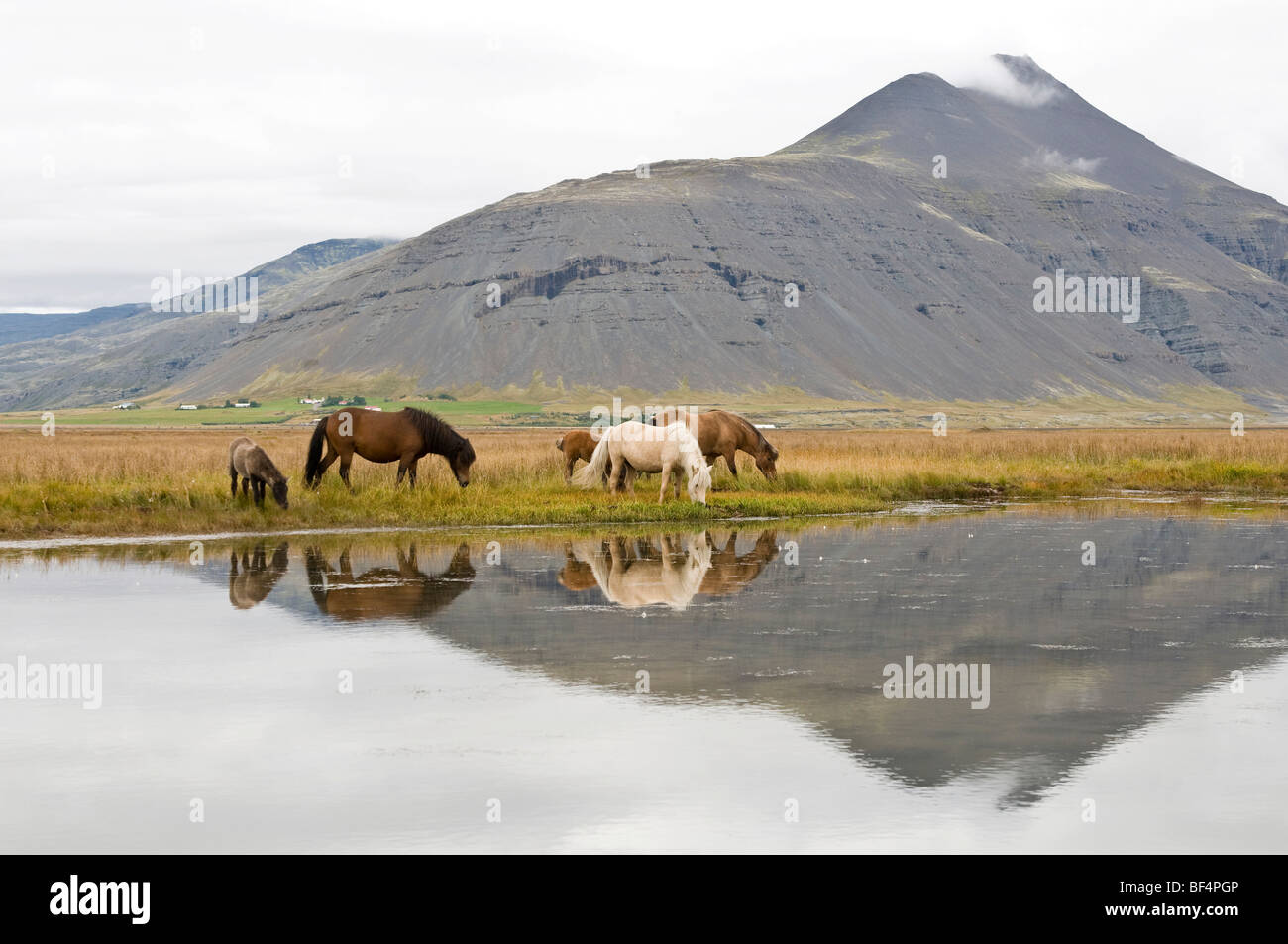 Volcano iceland hi-res stock photography and images - Alamy