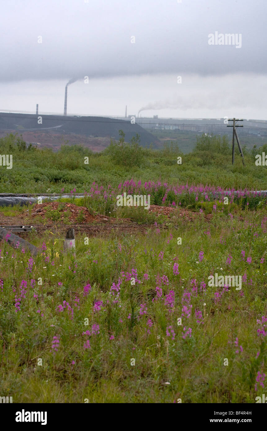 Russian arctic urals Stock Photo - Alamy