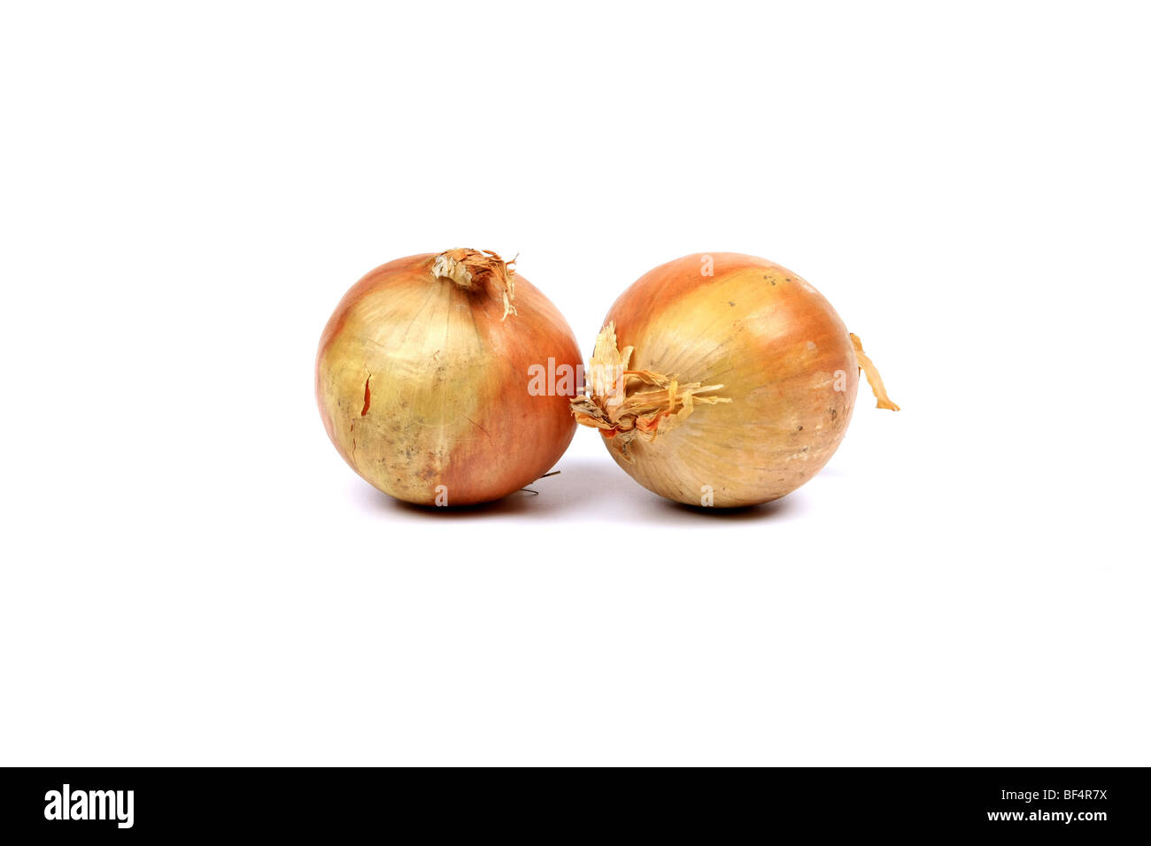 Two Onions against a white background Stock Photo - Alamy