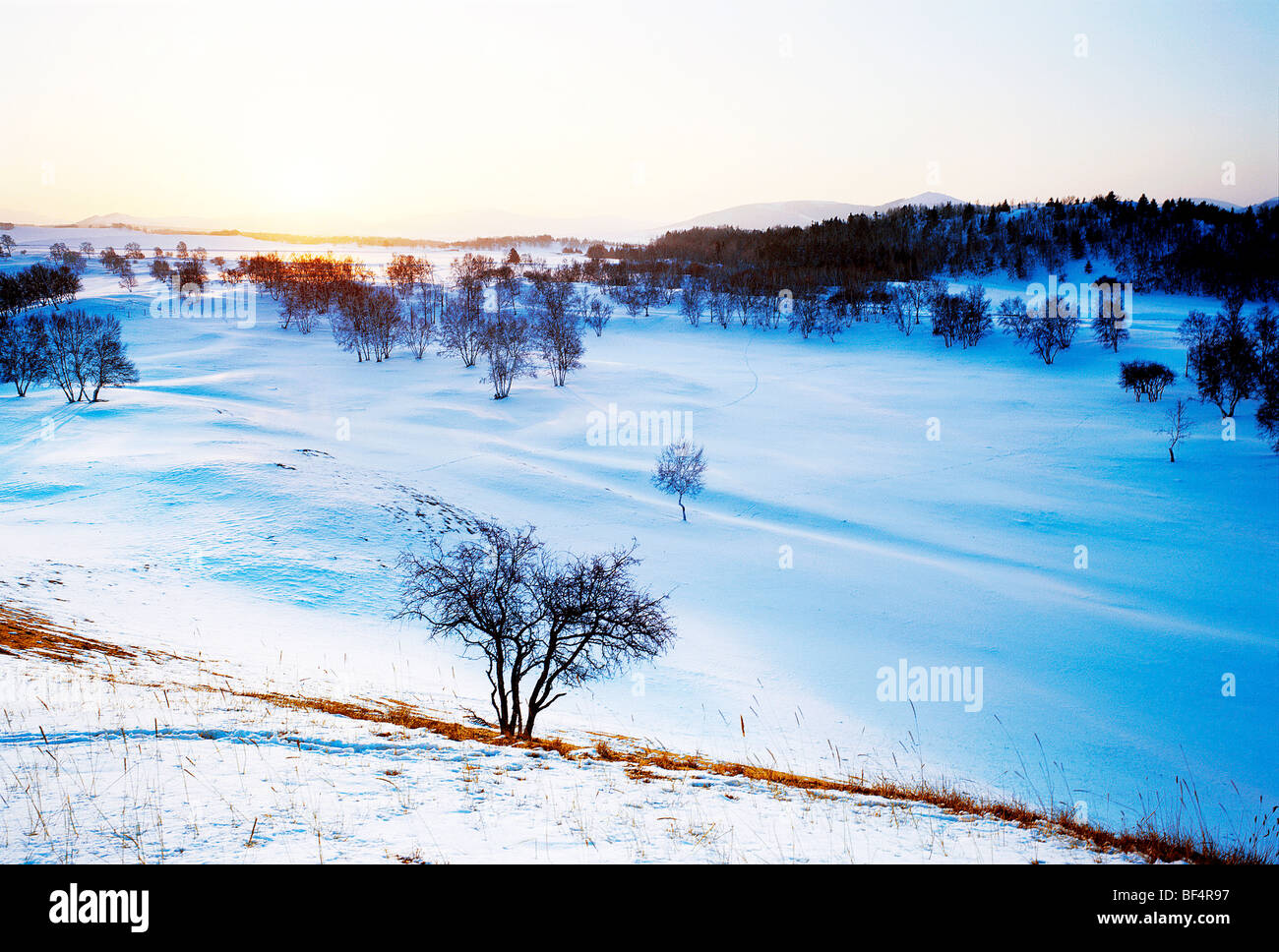 The yanqing snow hi-res stock photography and images - Alamy