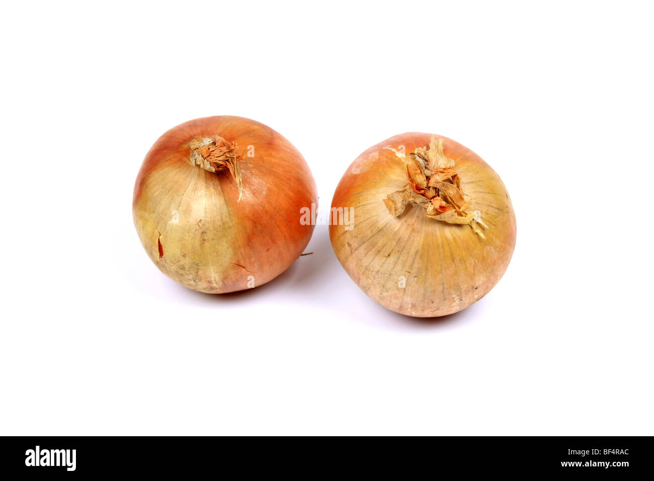 Lipoproteins hi-res stock photography and images - Alamy