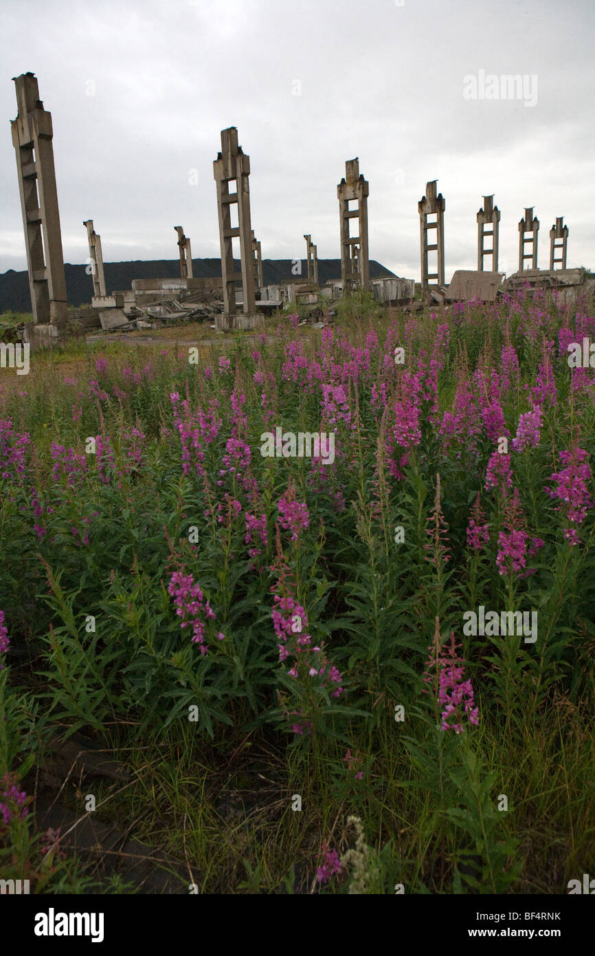 polyarny russian arctic urals Stock Photo - Alamy
