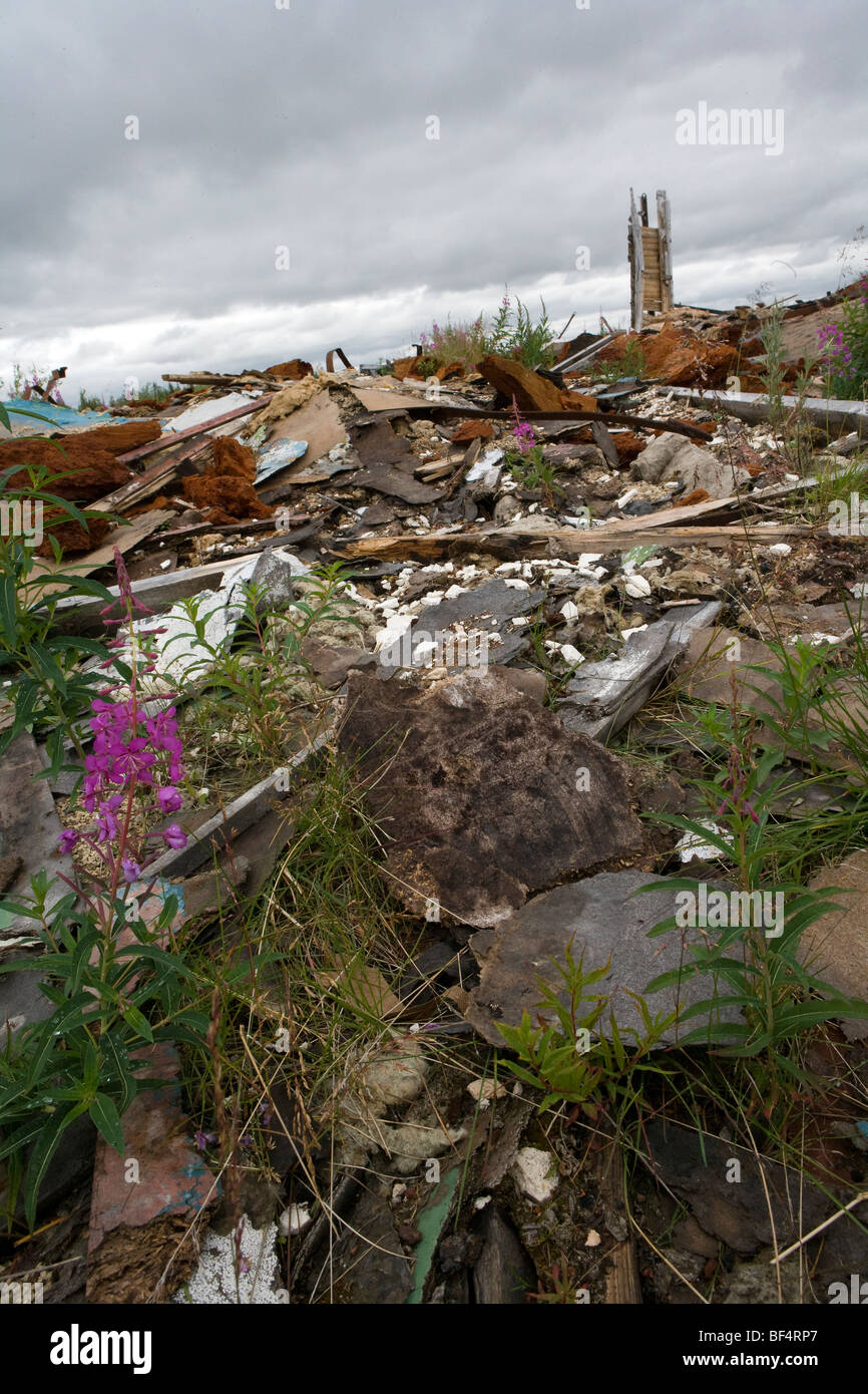 Polyarny hi-res stock photography and images - Alamy