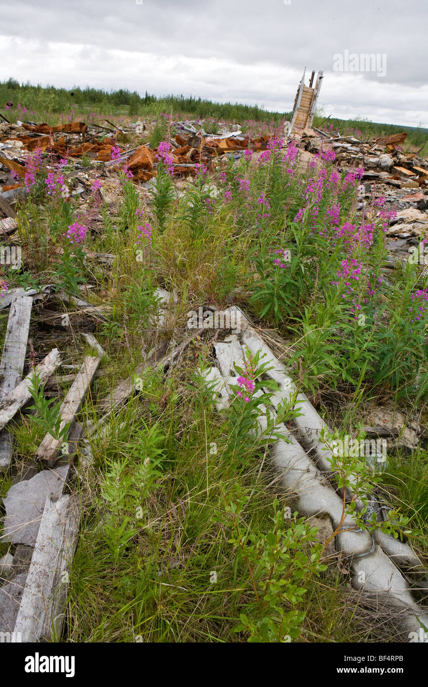 polyarny russian arctic urals Stock Photo - Alamy