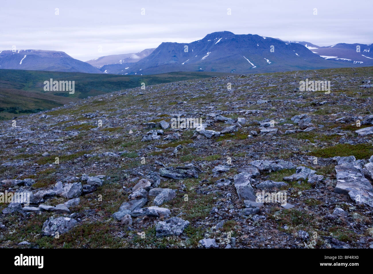 Polyarny hi-res stock photography and images - Alamy