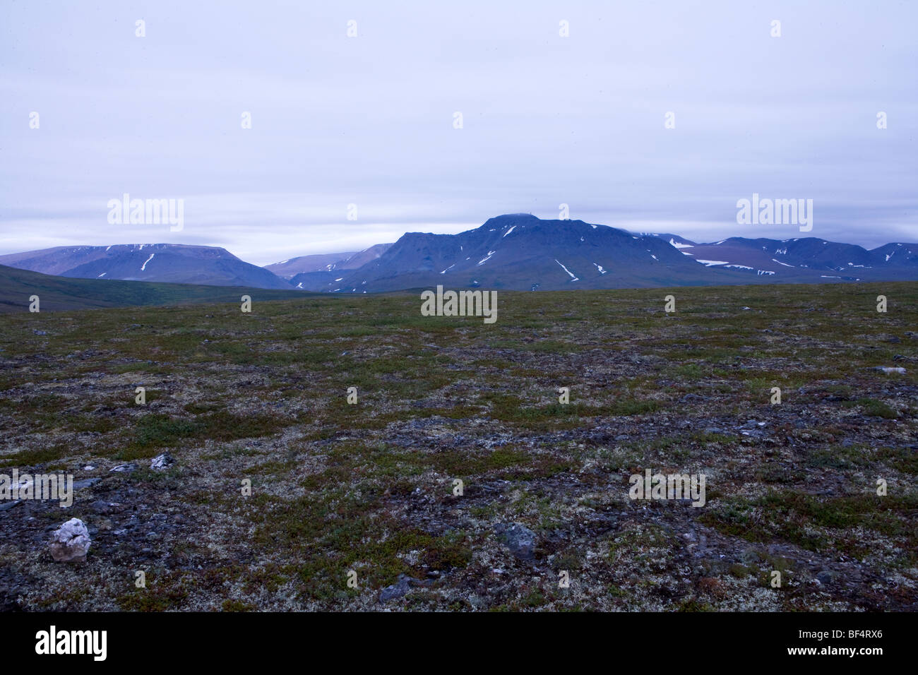 landscape Arctic russia polyarny Stock Photo - Alamy