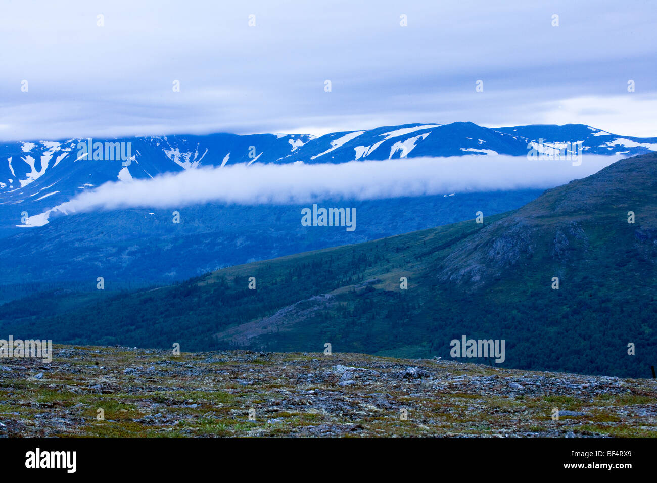 Polyarny hi-res stock photography and images - Alamy