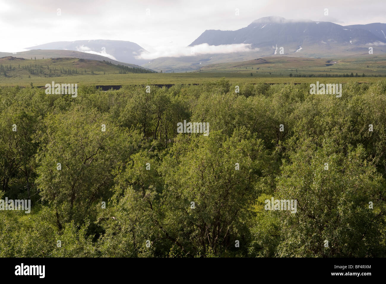 Polyarny hi-res stock photography and images - Alamy