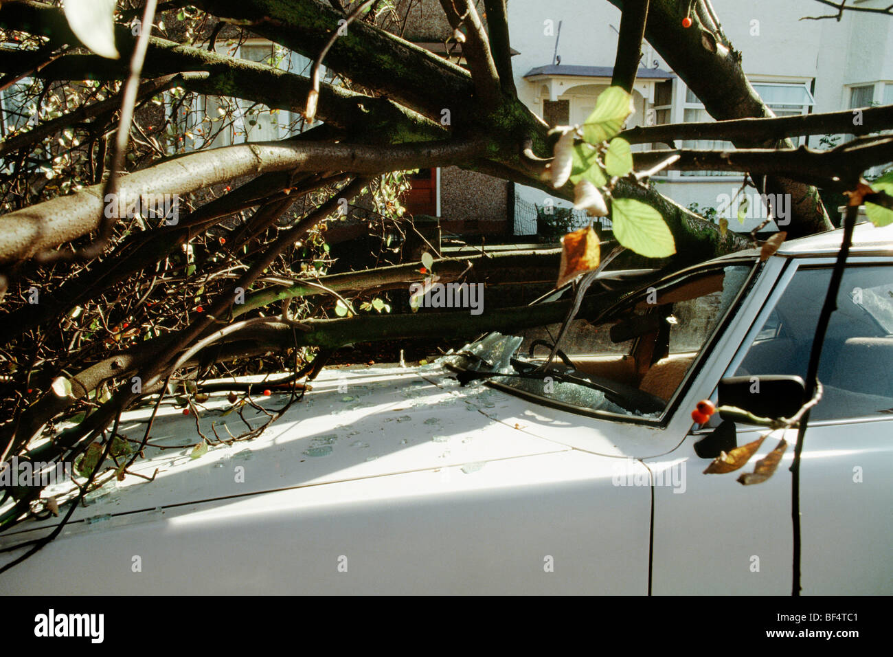 Car tree crash hi-res stock photography and images - Alamy