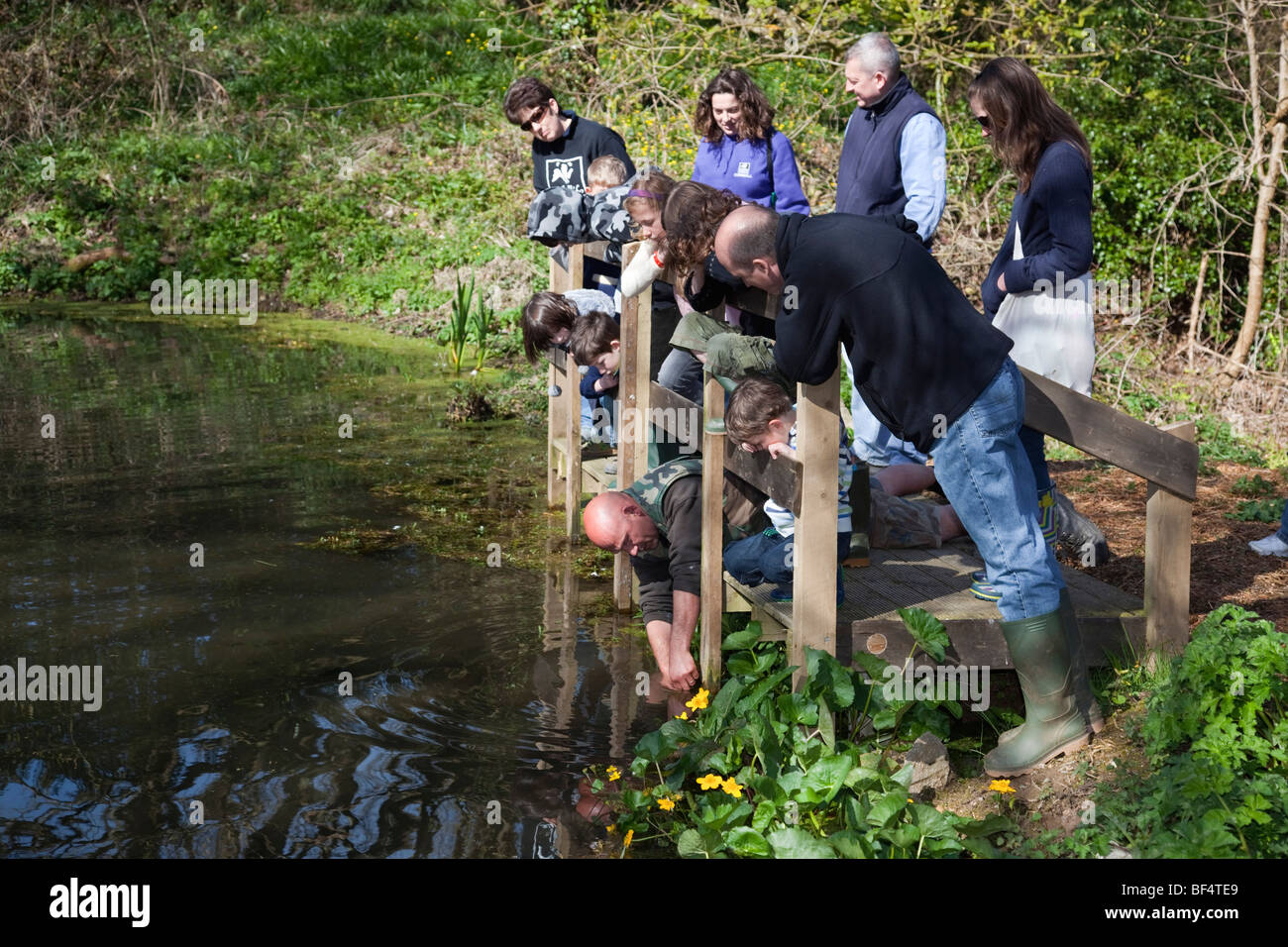 Dipping water hi-res stock photography and images - Alamy