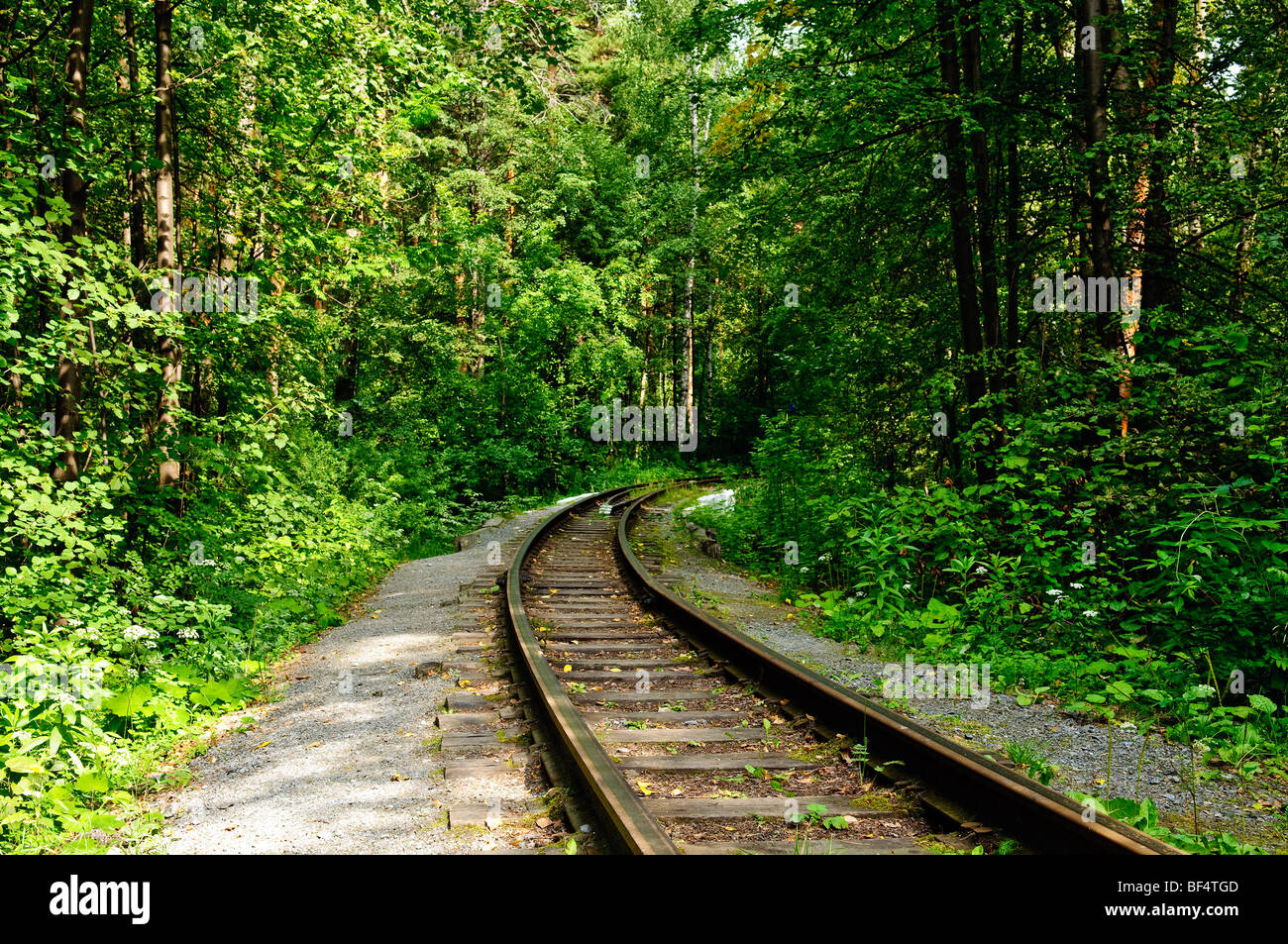 railroad track winding through forest Stock Photo - Alamy