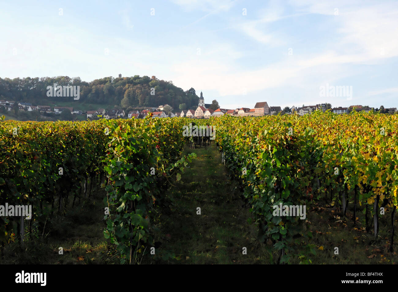 Lowenstein with vineyard hi-res stock photography and images - Alamy