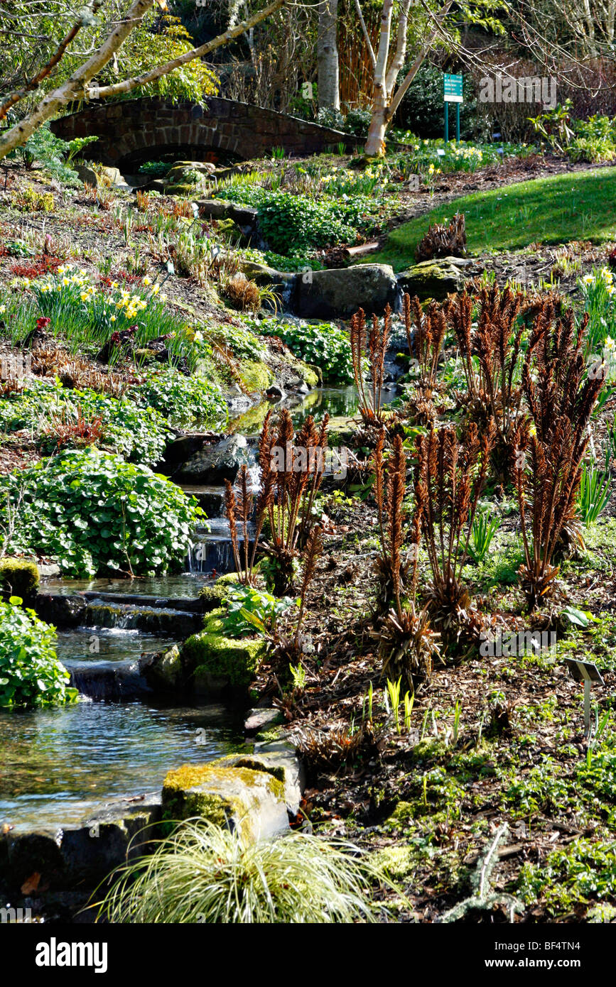 Streamside hi-res stock photography and images - Alamy