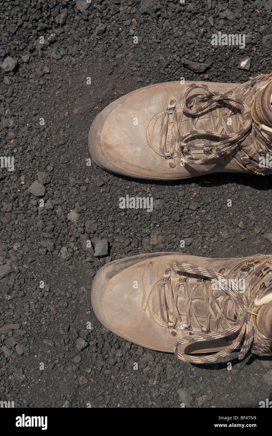 Dusty shoes standing in the sand on the path leading between the ...