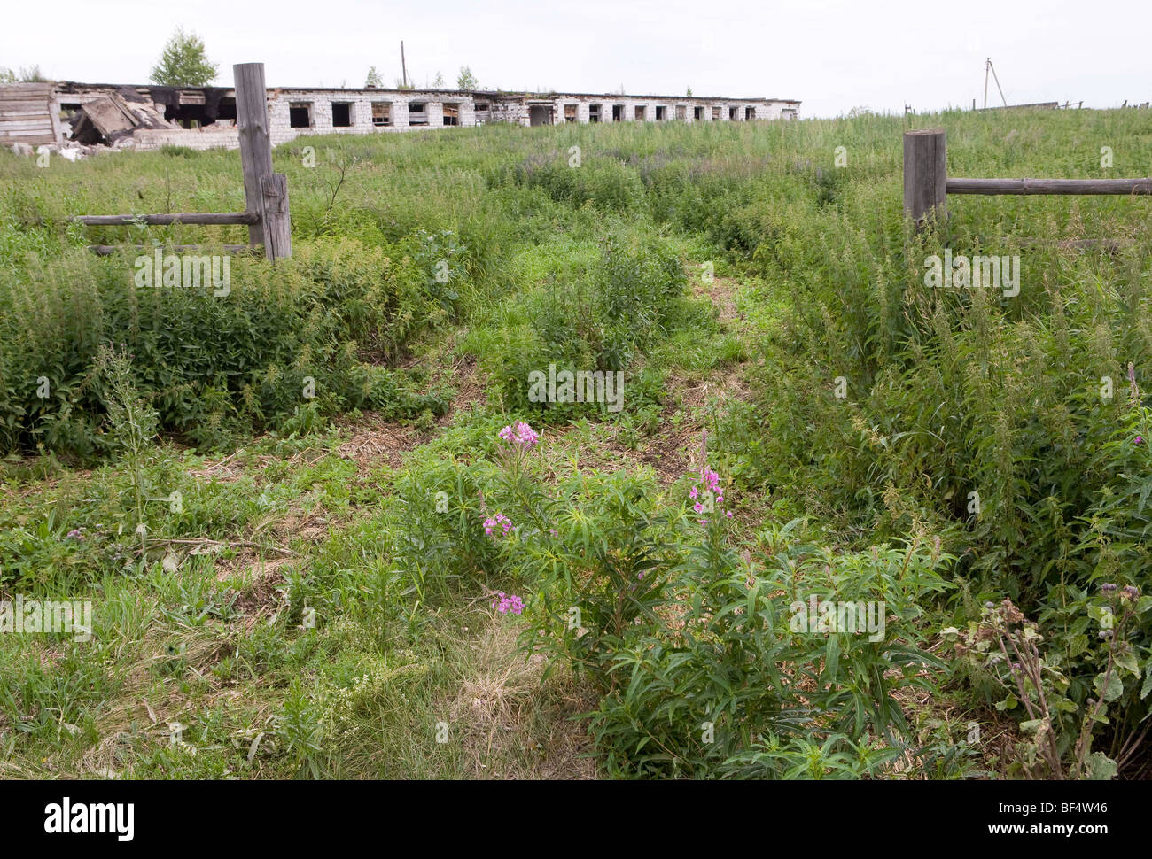 Soviet union collective farm hi-res stock photography and images - Alamy