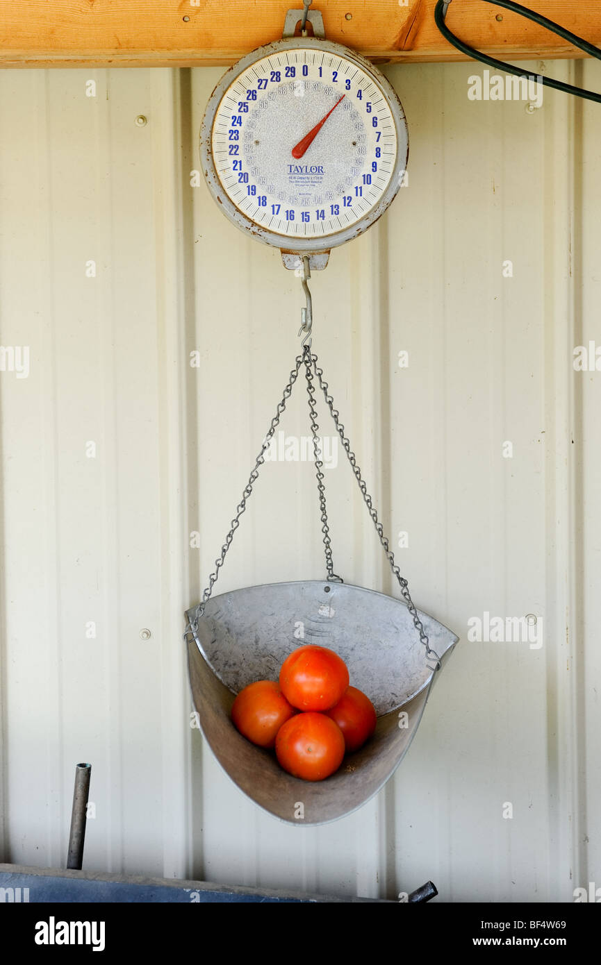 Scale farm hi-res stock photography and images - Alamy