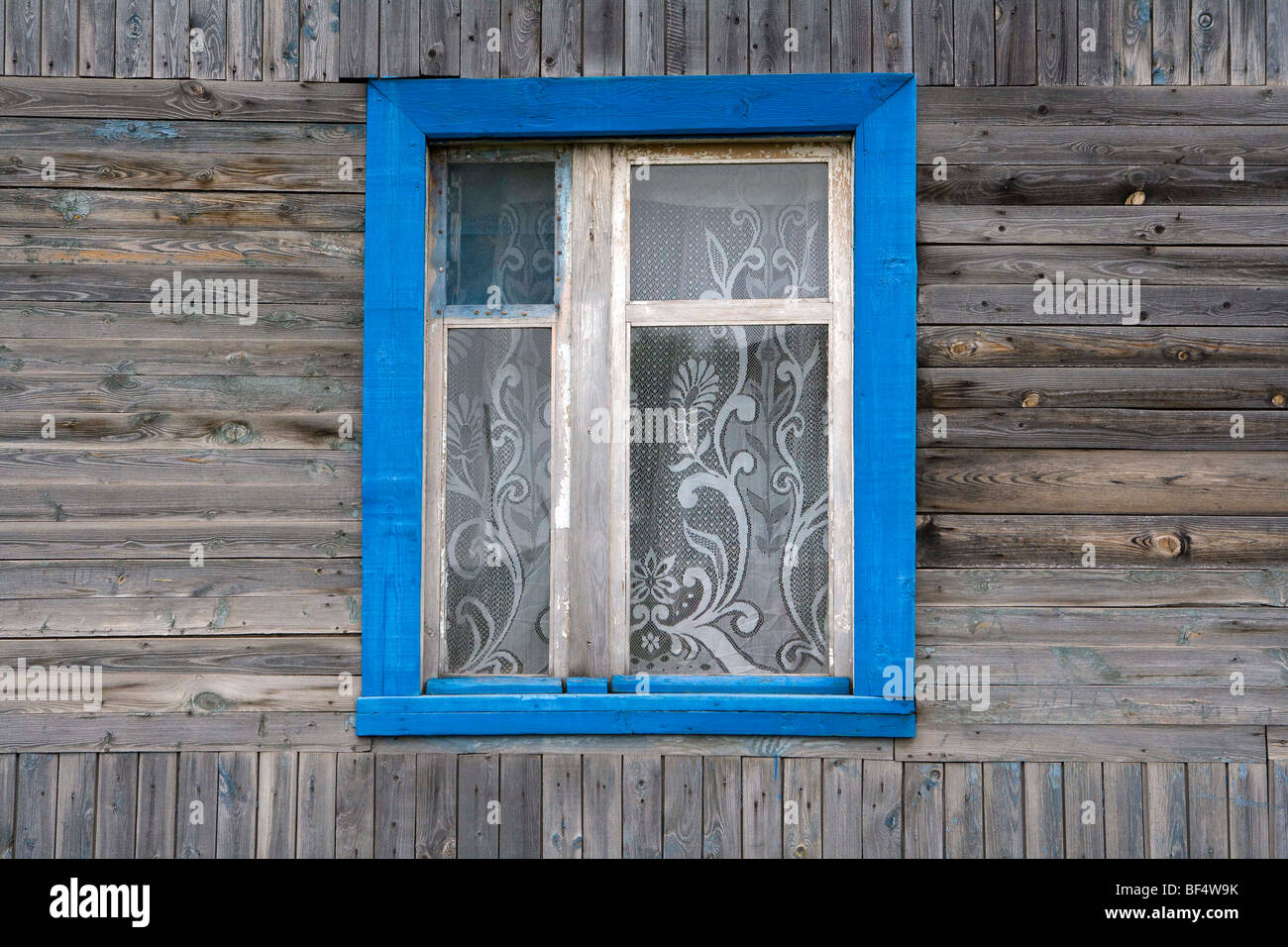 Traditional russian wooden window with blue frame and lace curtains ...