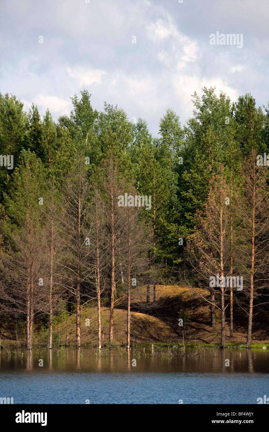 Damaging trees or plants hi-res stock photography and images - Alamy