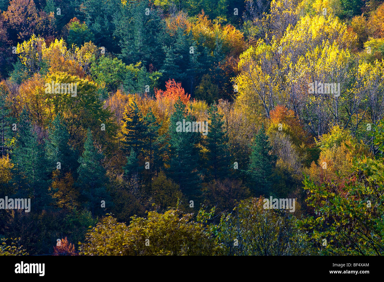 autumn landscape in Balkan range mountain Stock Photo - Alamy