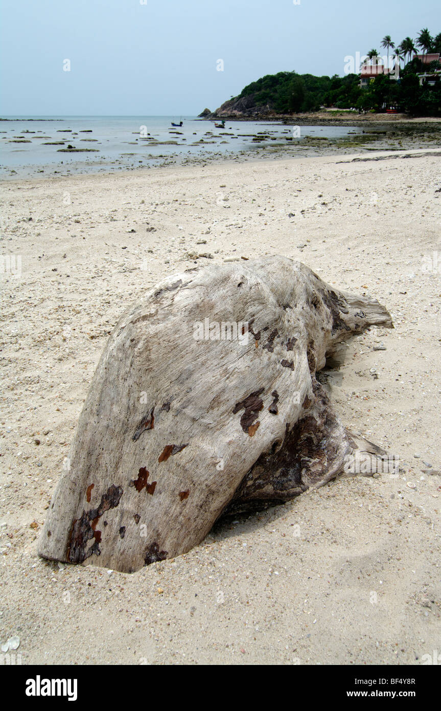 Choeng Mon beach, Ko Samui, Thailand Stock Photo - Alamy