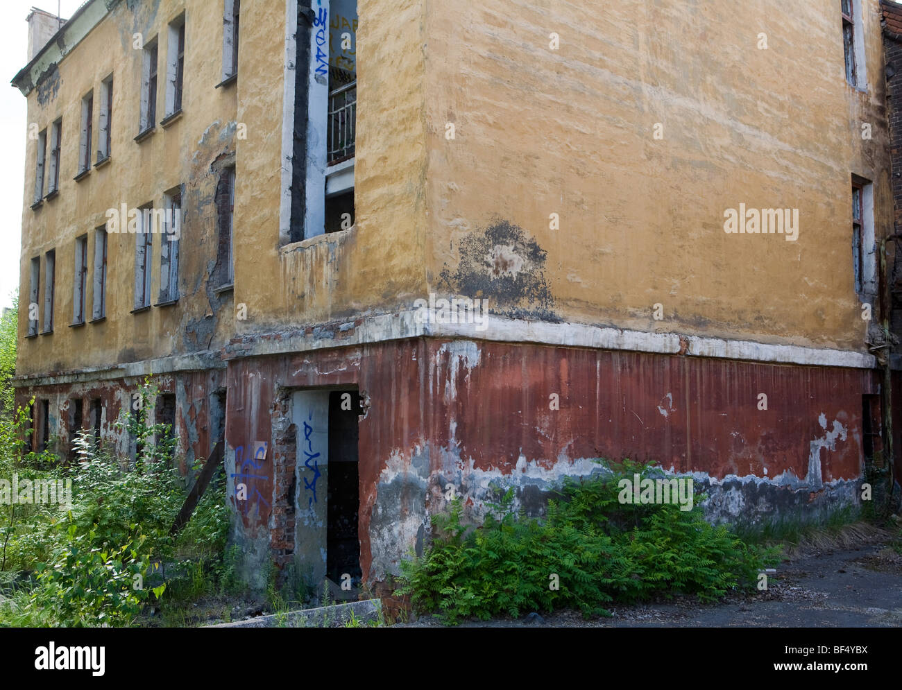 abandoned factory windows in russia Stock Photo - Alamy