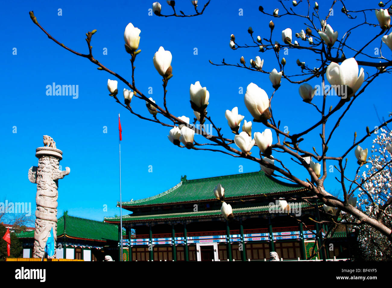 Lecture hall in Chinese traditional architecture style in Peking ...