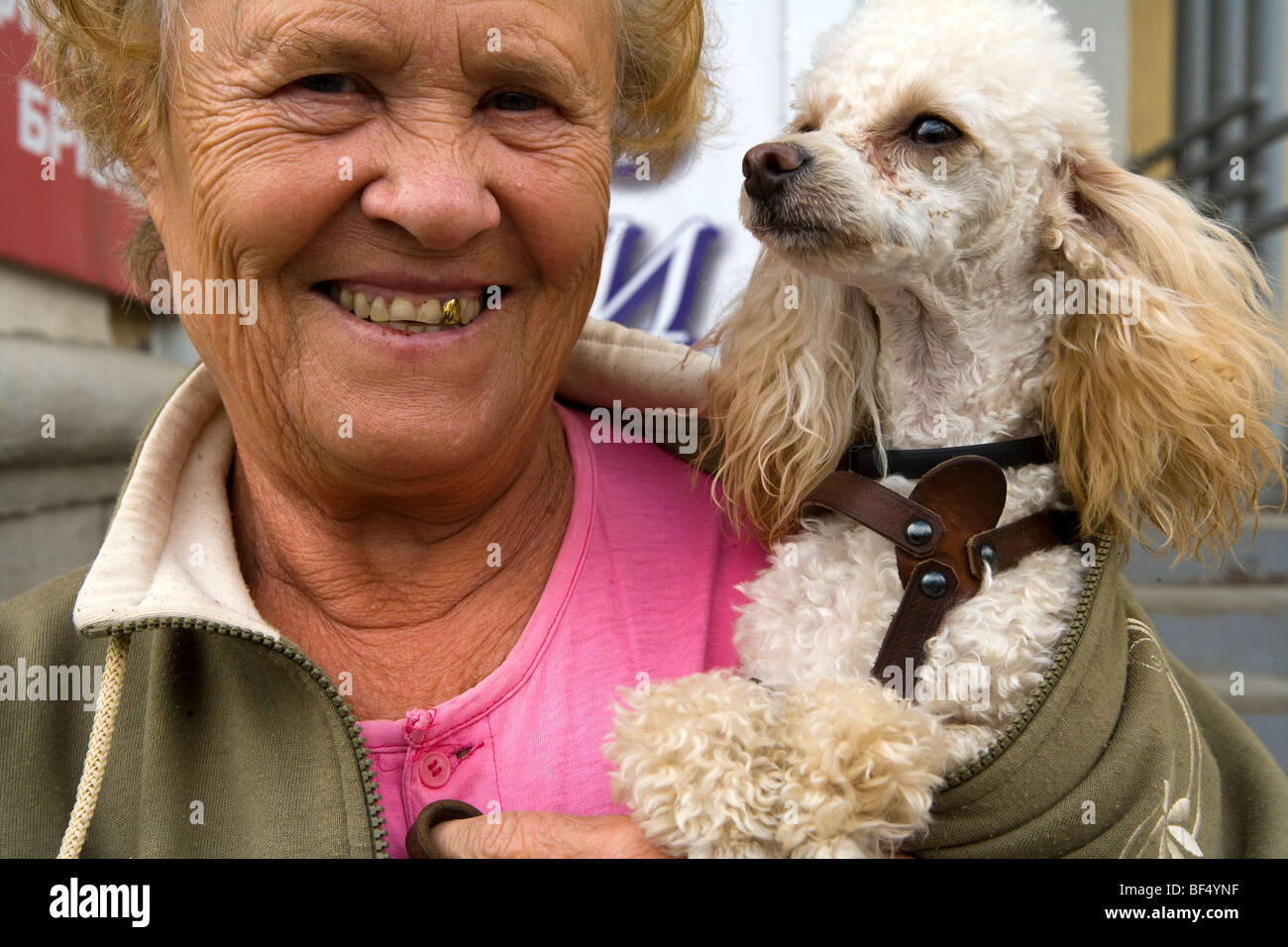 lady with her poodle Stock Photo - Alamy