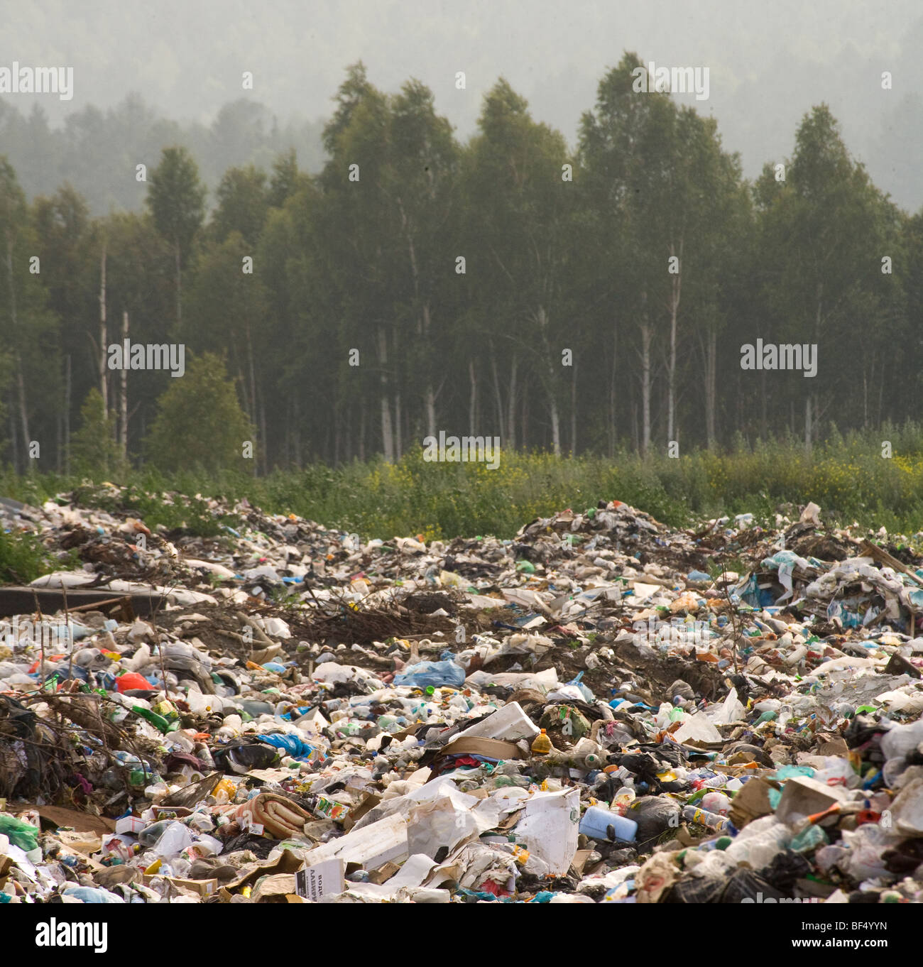 Rubbish dump sprawl beside forest of trees, Karabash, Ural, Russia ...