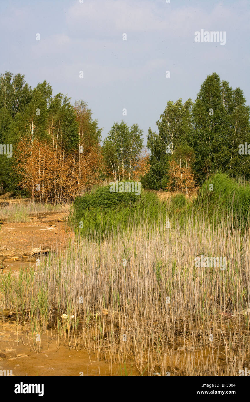 polluted countryside next to karabash in the urals russia Stock Photo ...