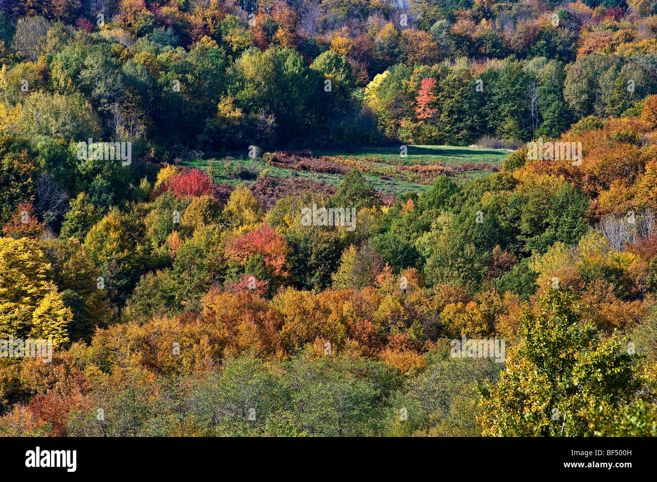 Balkan range hi-res stock photography and images - Alamy