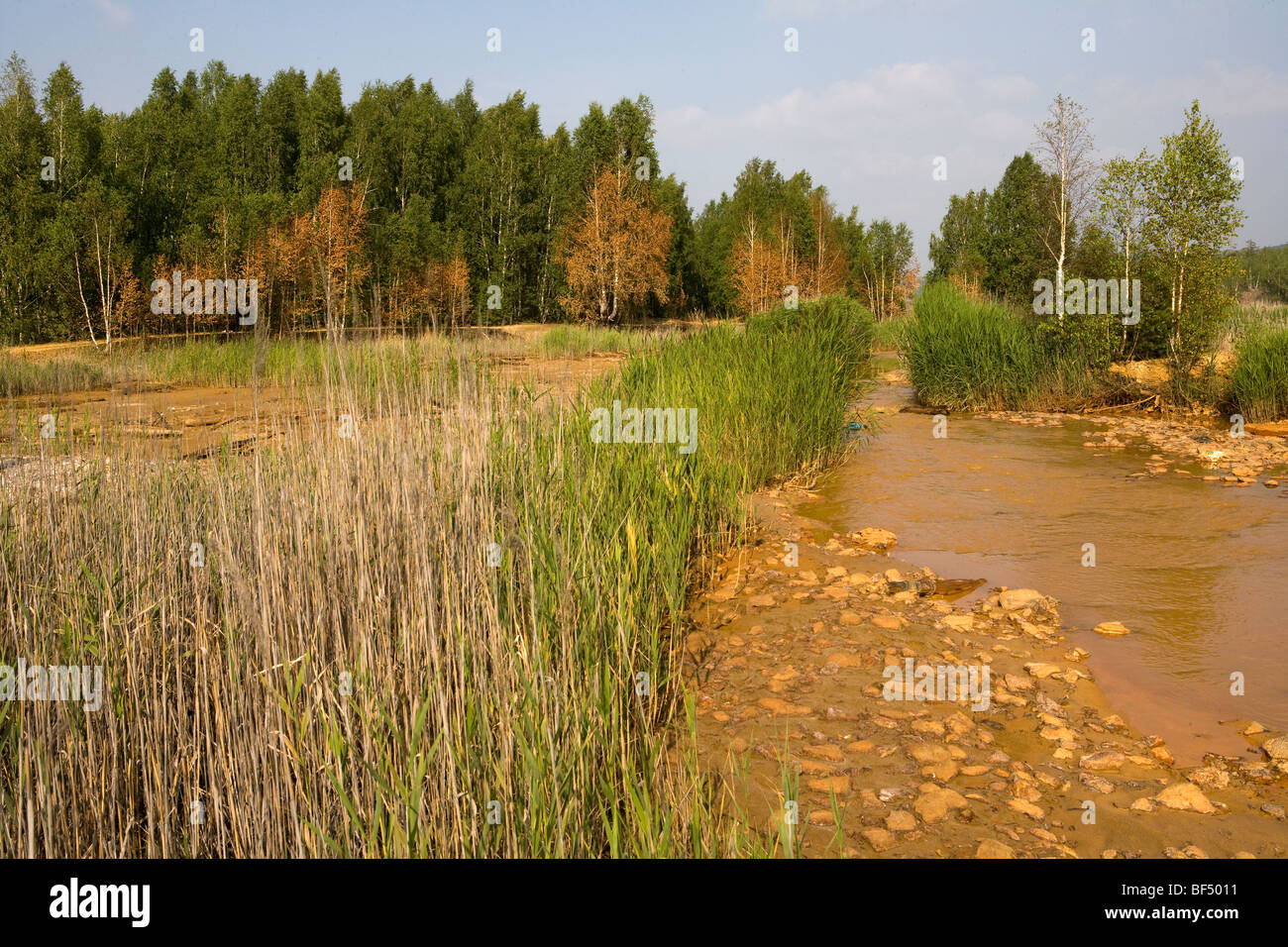 polluted countryside next to karabash in the urals russia Stock Photo ...