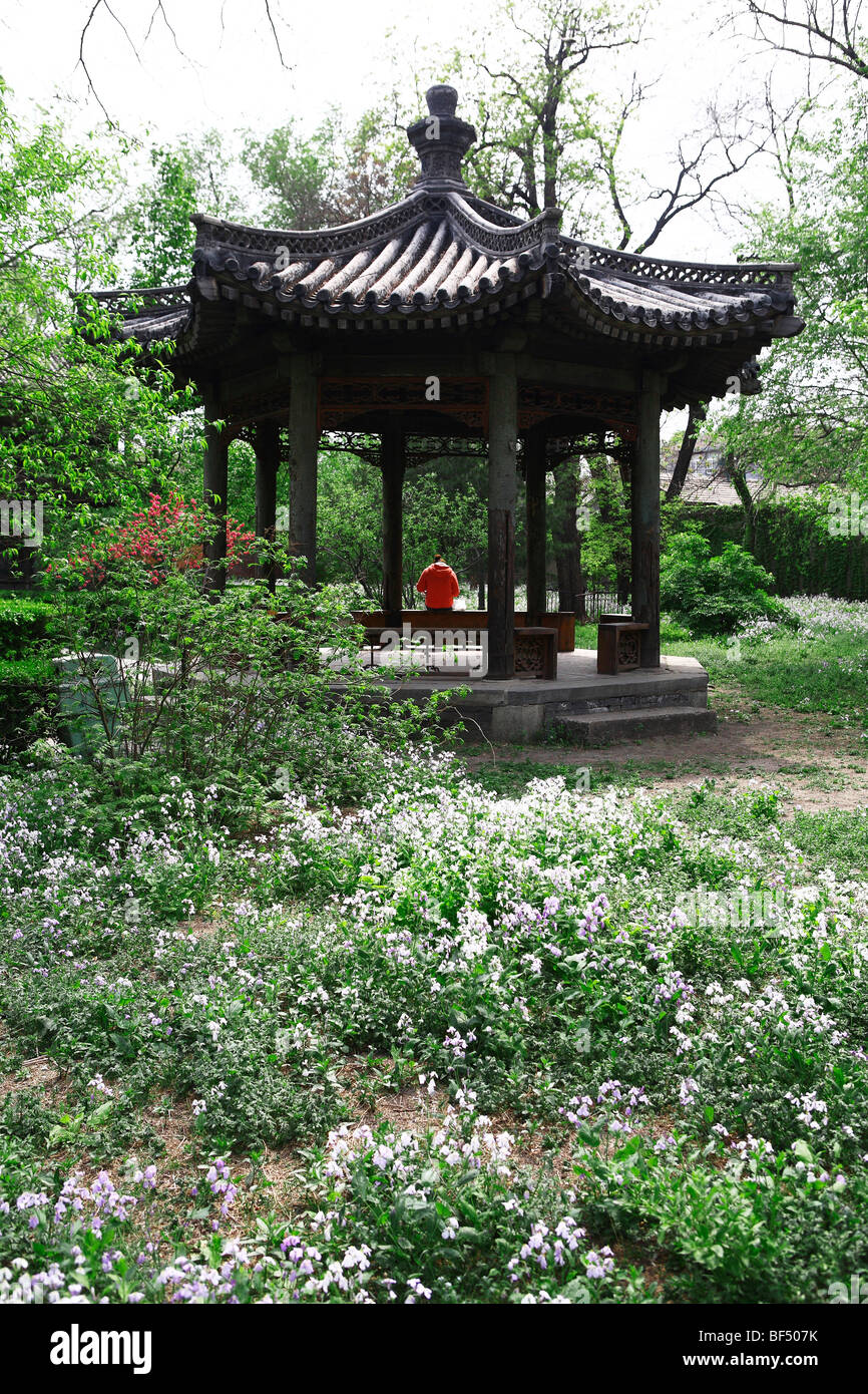 Beijing normal university hi-res stock photography and images - Alamy