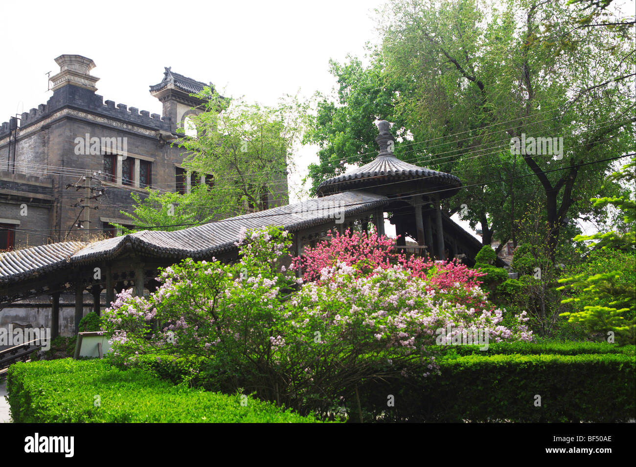 Beijing normal university hi-res stock photography and images - Alamy