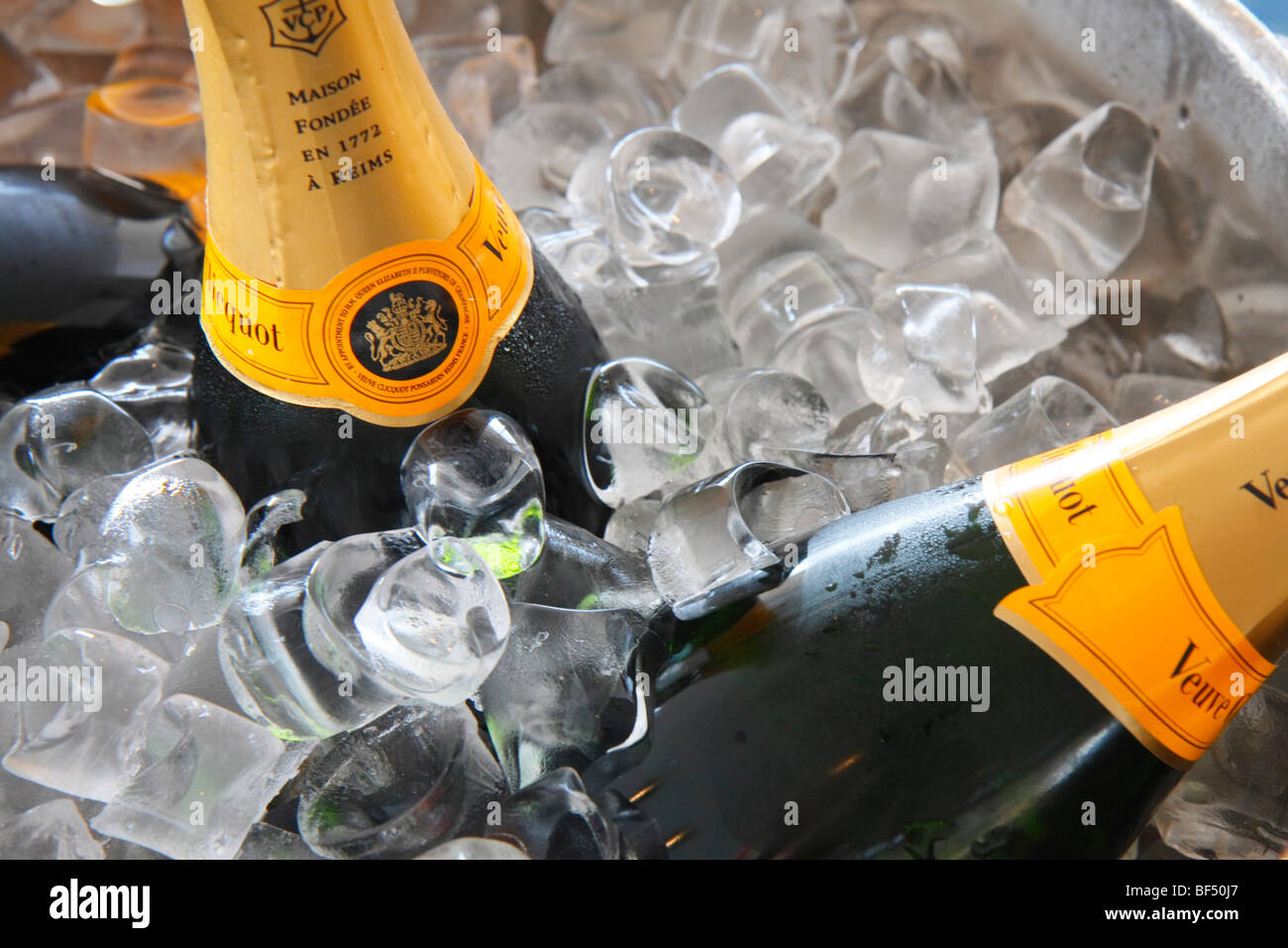 Champagne in a cooler with ice Stock Photo - Alamy