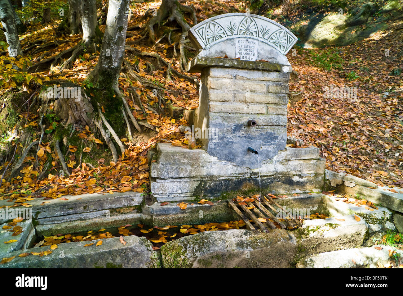 ancient fountain in the autumn forest Stock Photo - Alamy