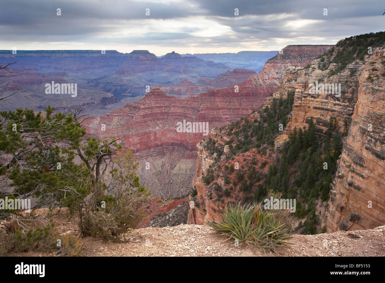 View from Yavapai Point at sunrise, Grand Canyon National Park, South ...