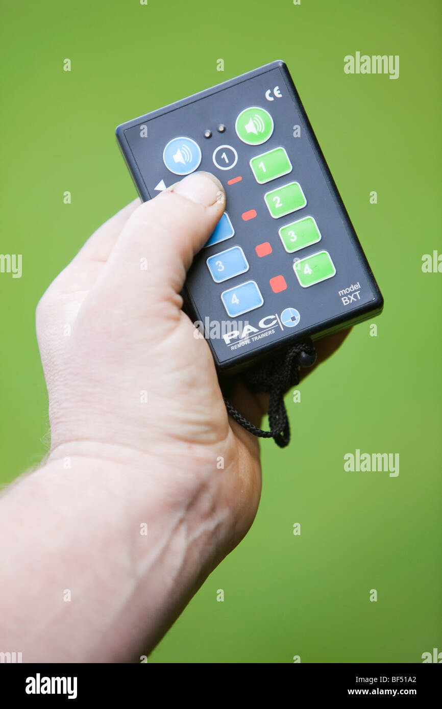 Electric shock bird hi-res stock photography and images - Alamy